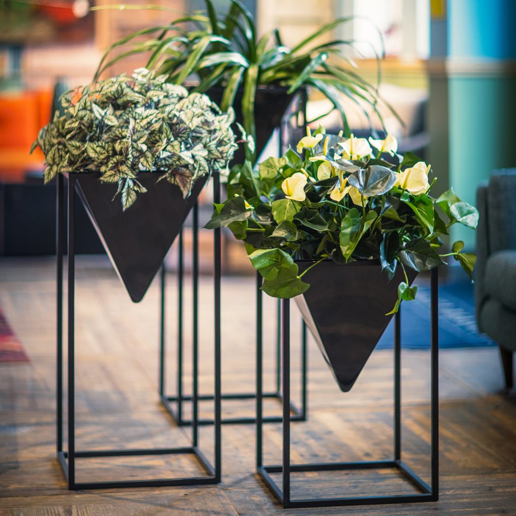 Shop – Europlanters Online
