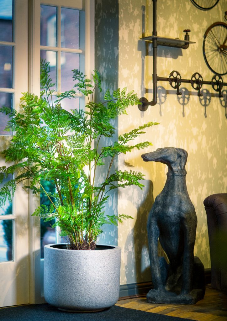 Hathersage – Europlanters Online