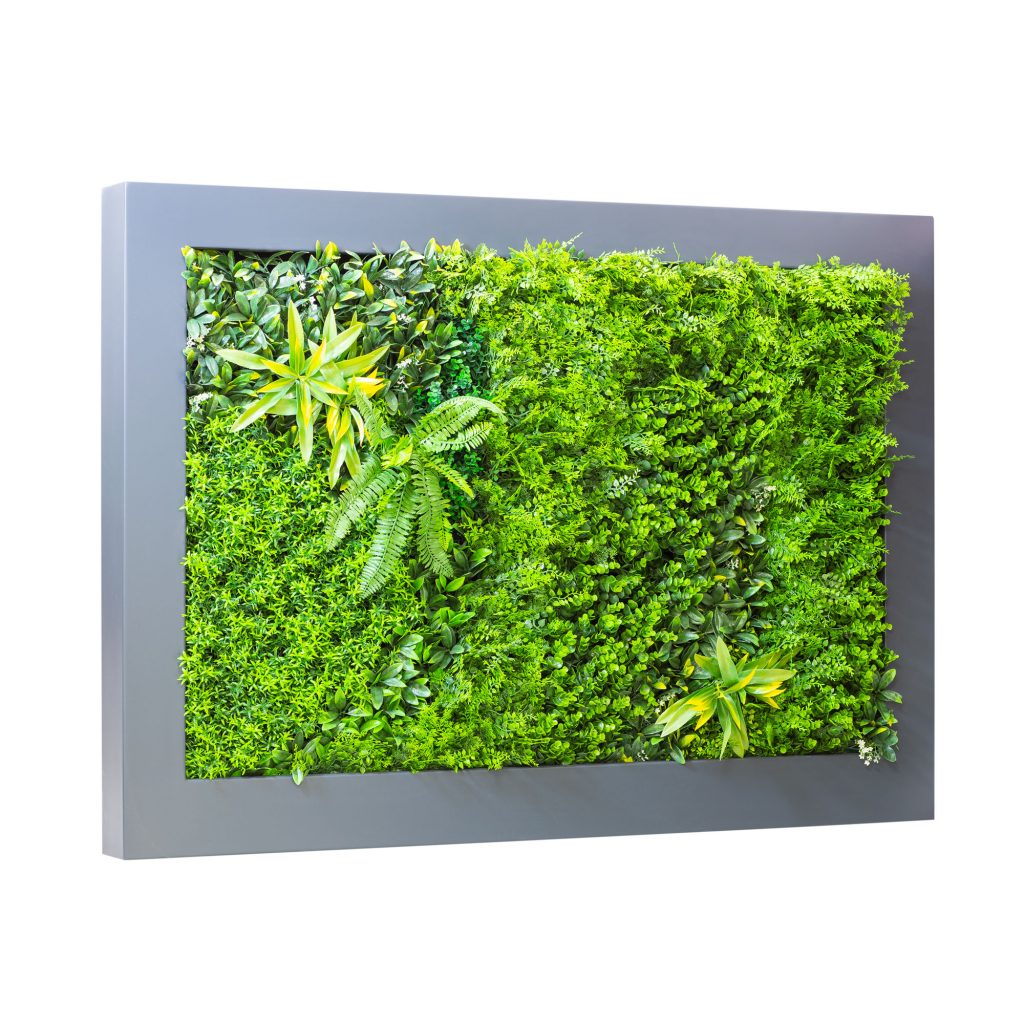 Wall Mounted Frame – Europlanters Online