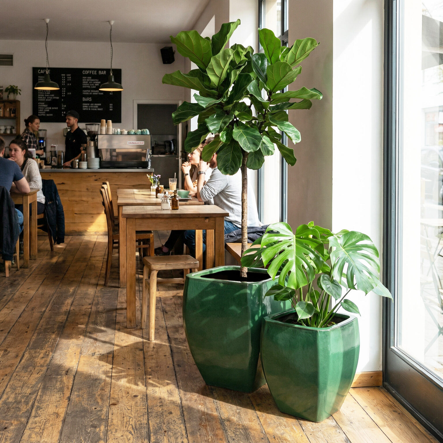 Belly Pot – Europlanters Online