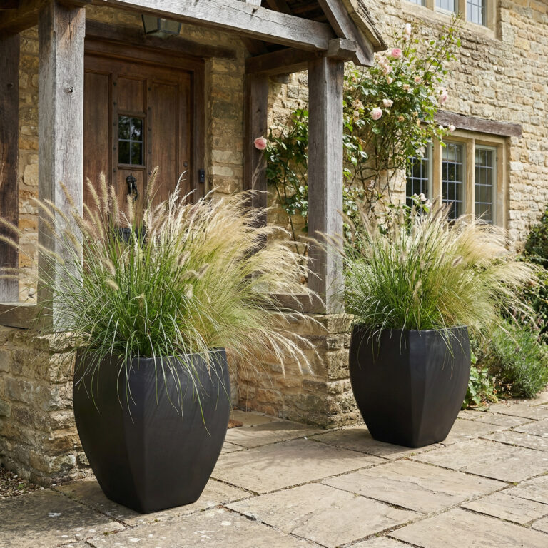 Belly Pot – Europlanters Online