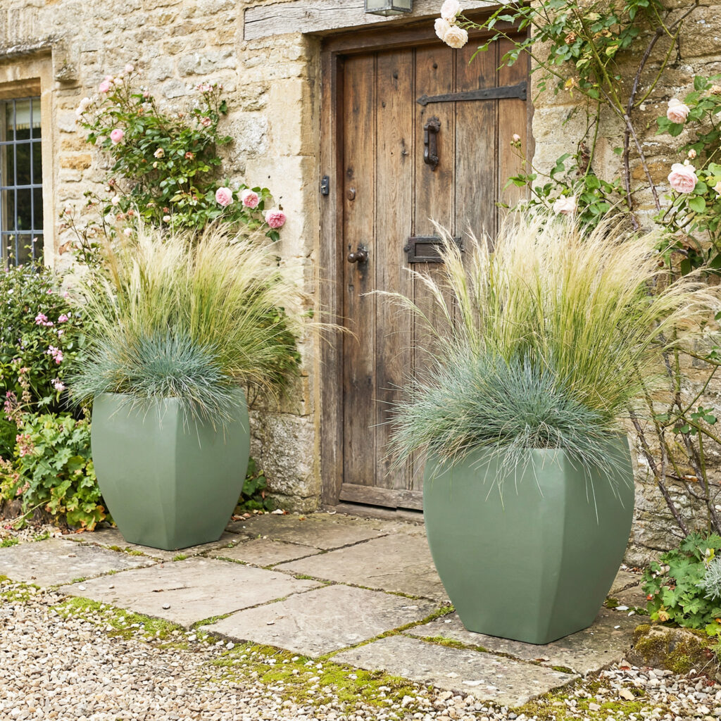 Belly Pot – Europlanters Online
